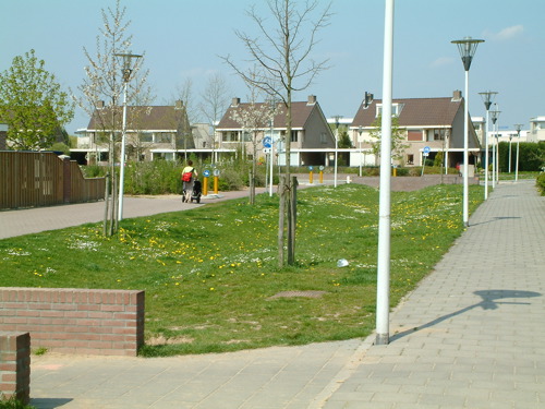 Beschrijving van een wadi