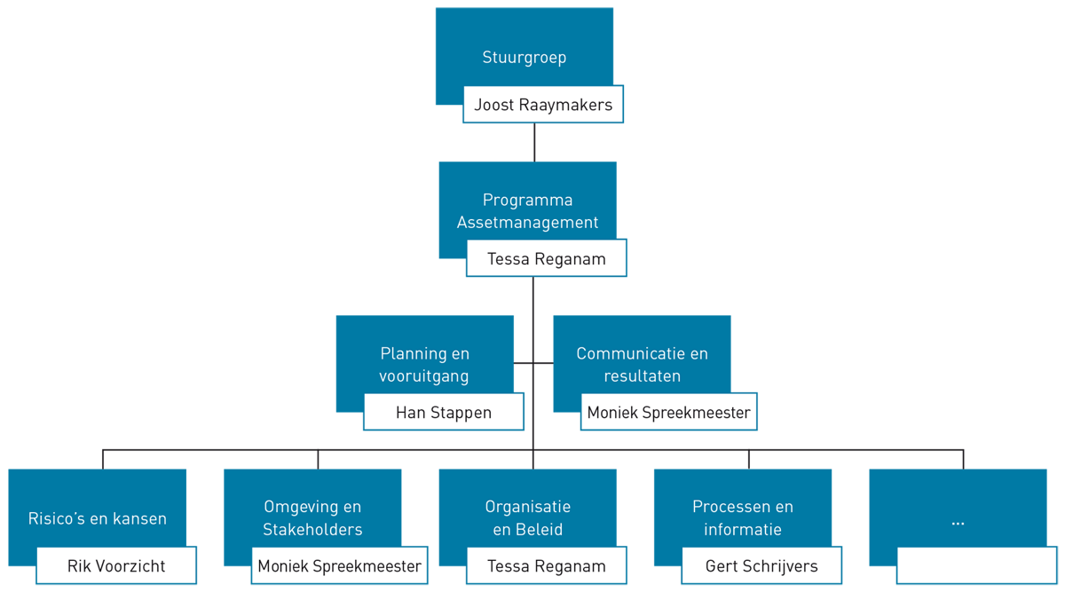 Programmastructuur assetmanagement